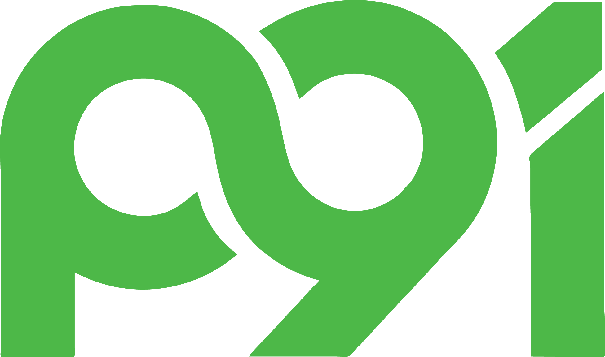 P91 India - Premium Automotive & Home Protection